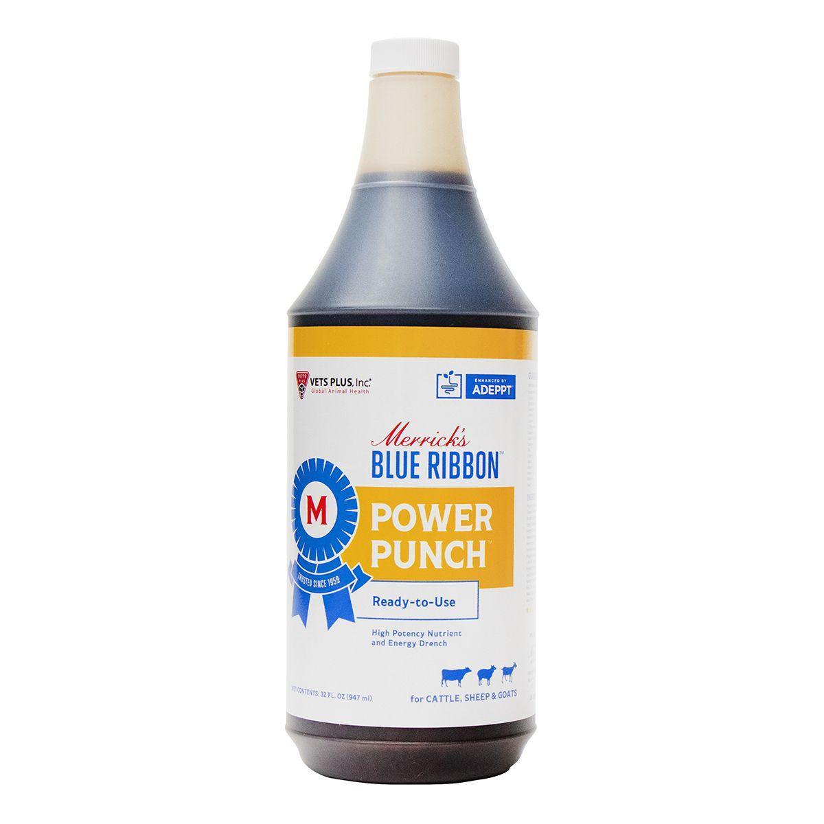 blue-ribbon-power-punch-houlihan-saddlery-llc-1.jpg?v=1737568183